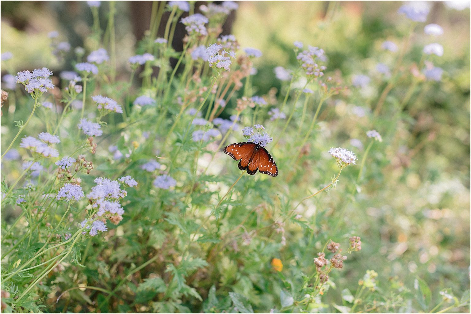Kayla and Jake's Intimate Wedding in Austin - nateandgrace.com